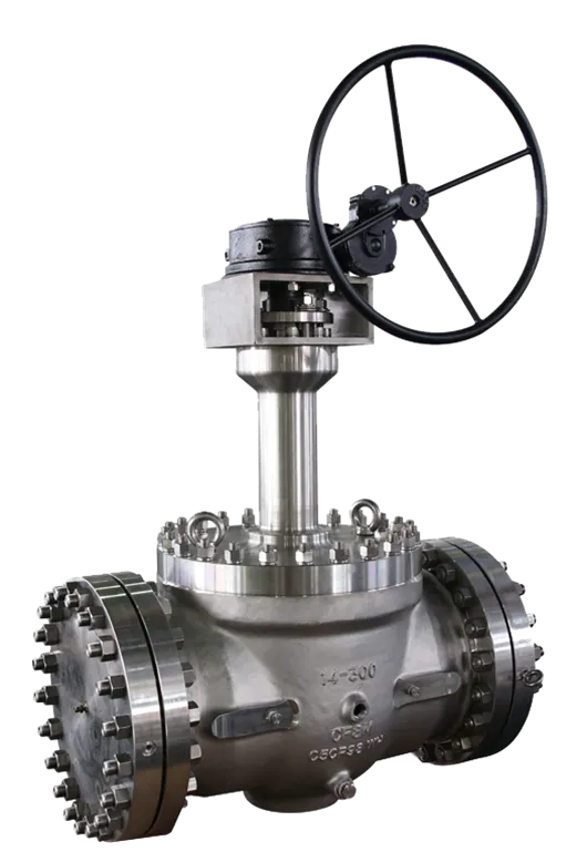 CRYOGENIC BALL VALVE | BMI 6D Product | PT. Borneo Mandiri Investment